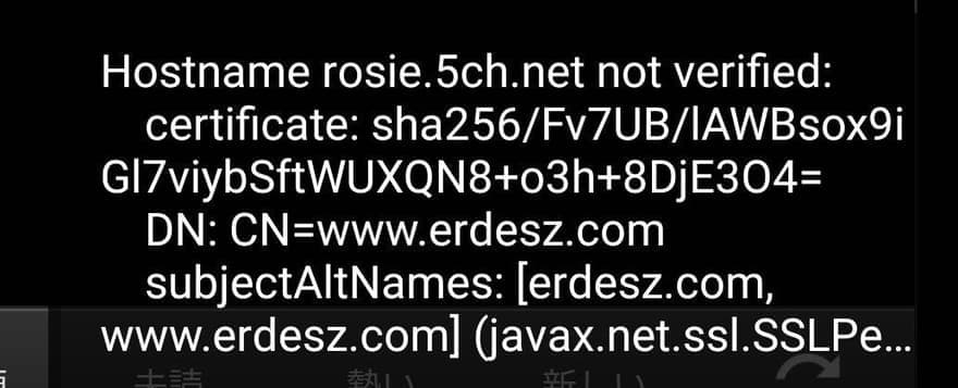 5ch（5チャンネル）がエラーで見れない！詳細と対処法を徹底解説！ - SNSデイズ
